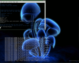 How to have a transparent terminal as wallpaper that displays ...